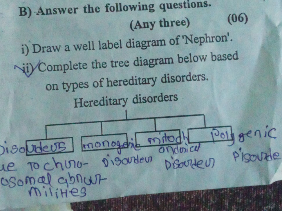 ii) Complete the tree diagram below based on | StudyX