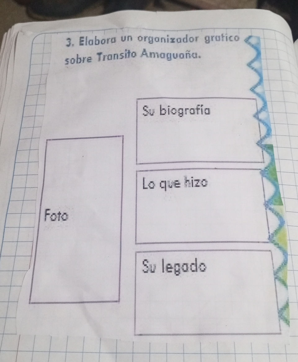 3. Elabora un organizador grafico sobre | StudyX