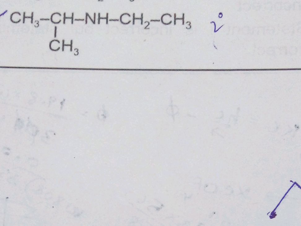 Identify the 2° amine structure