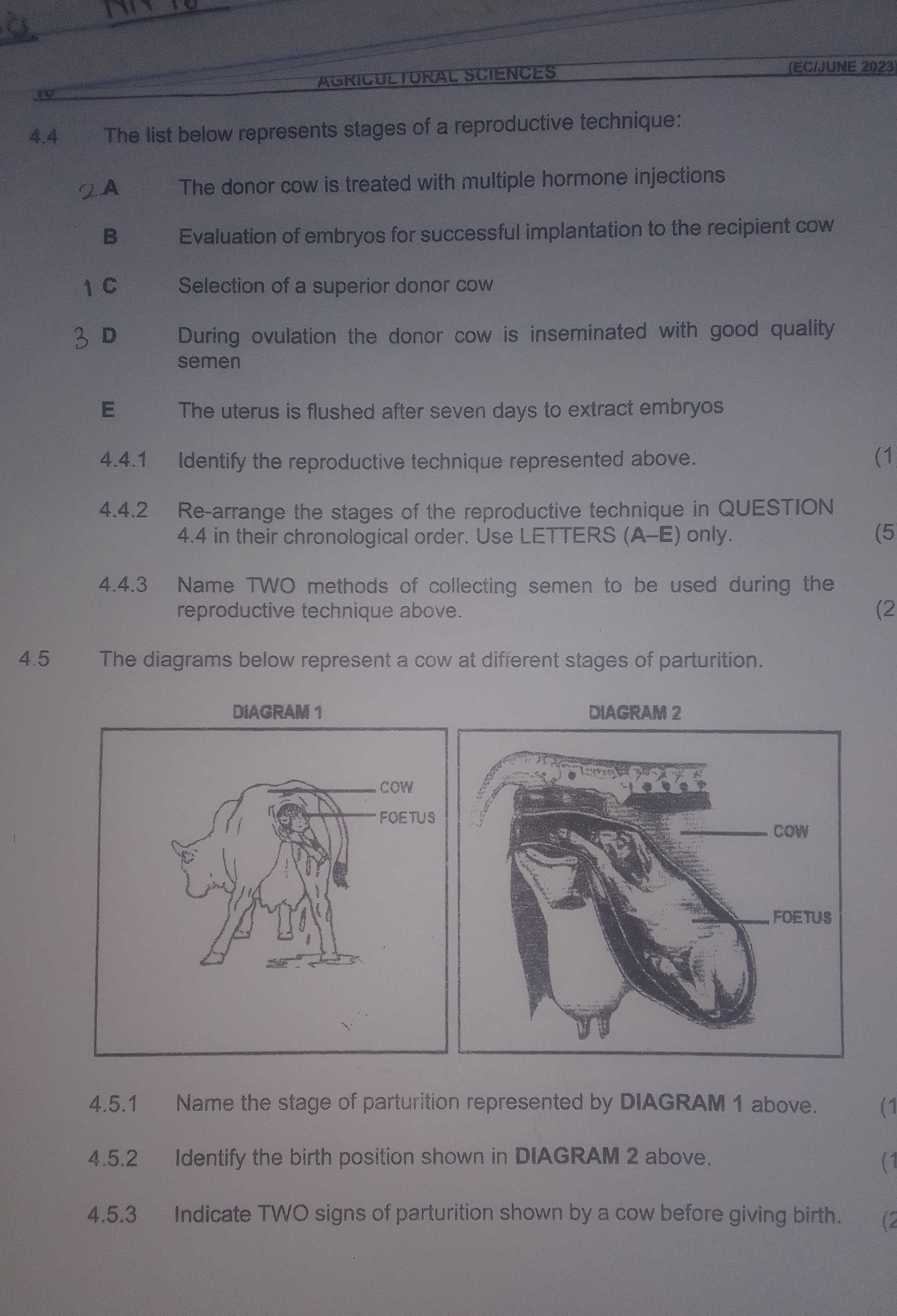 4.4 The list below represents stages of a | StudyX