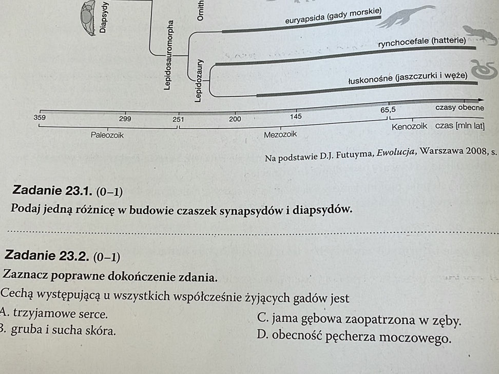 Zadanie 23.1. (0-1) Podaj jedną różnicę w | StudyX