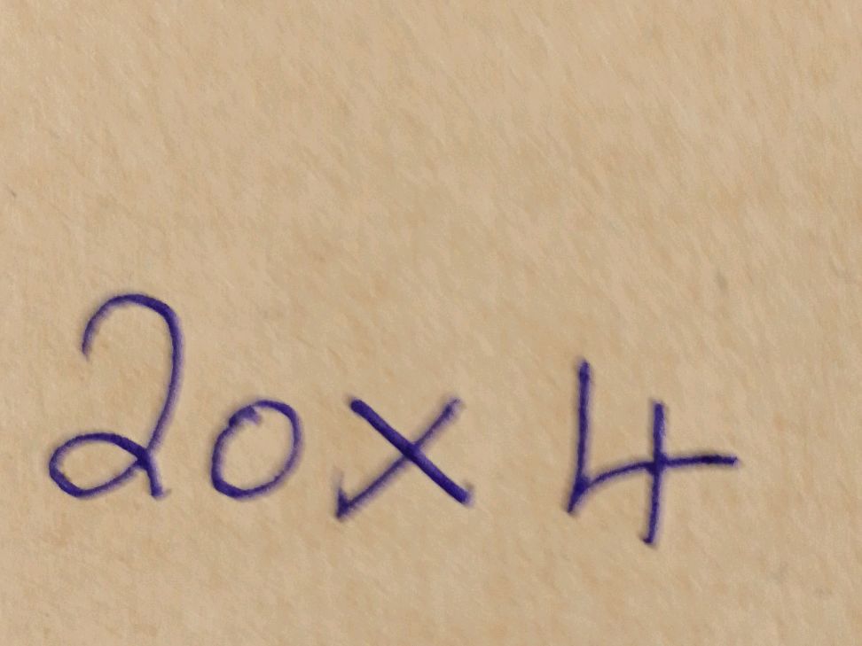 Multiplication: 20 x 4 | StudyX