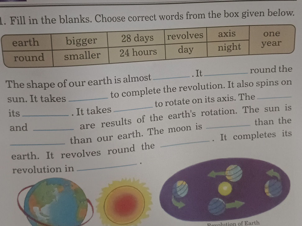 1. Fill in the blanks. Choose correct words | StudyX