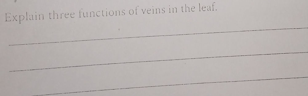Explain three functions of veins in the leaf. | StudyX