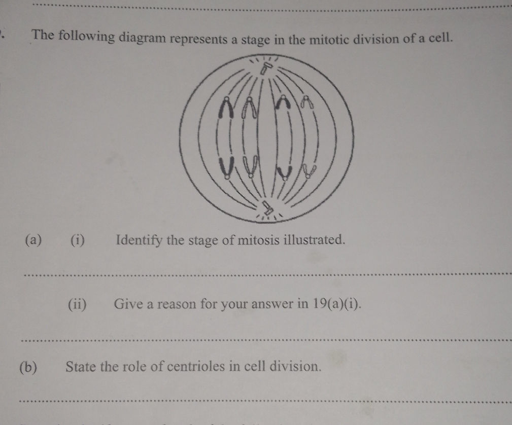 The following diagram represents a stage in | StudyX