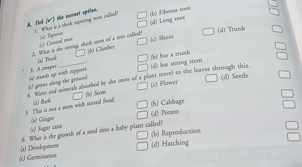 A. Tick ( ) the correct option. 1. What is | StudyX