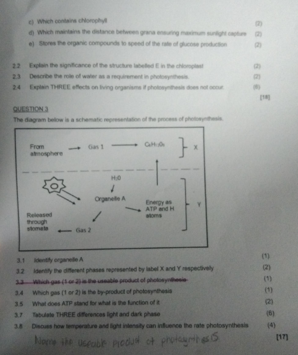 3. QUESTION 3 The diagram below is a | StudyX