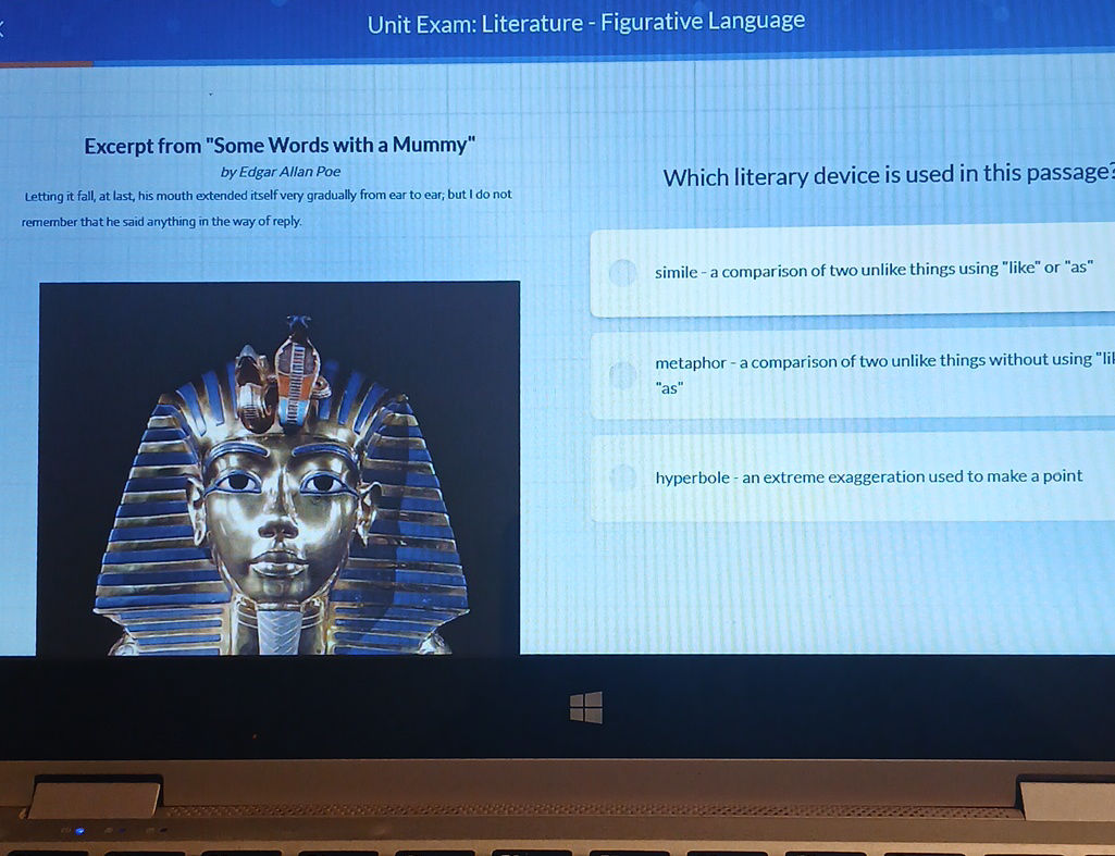 Excerpt from "Some Words with a Mummy" by | StudyX