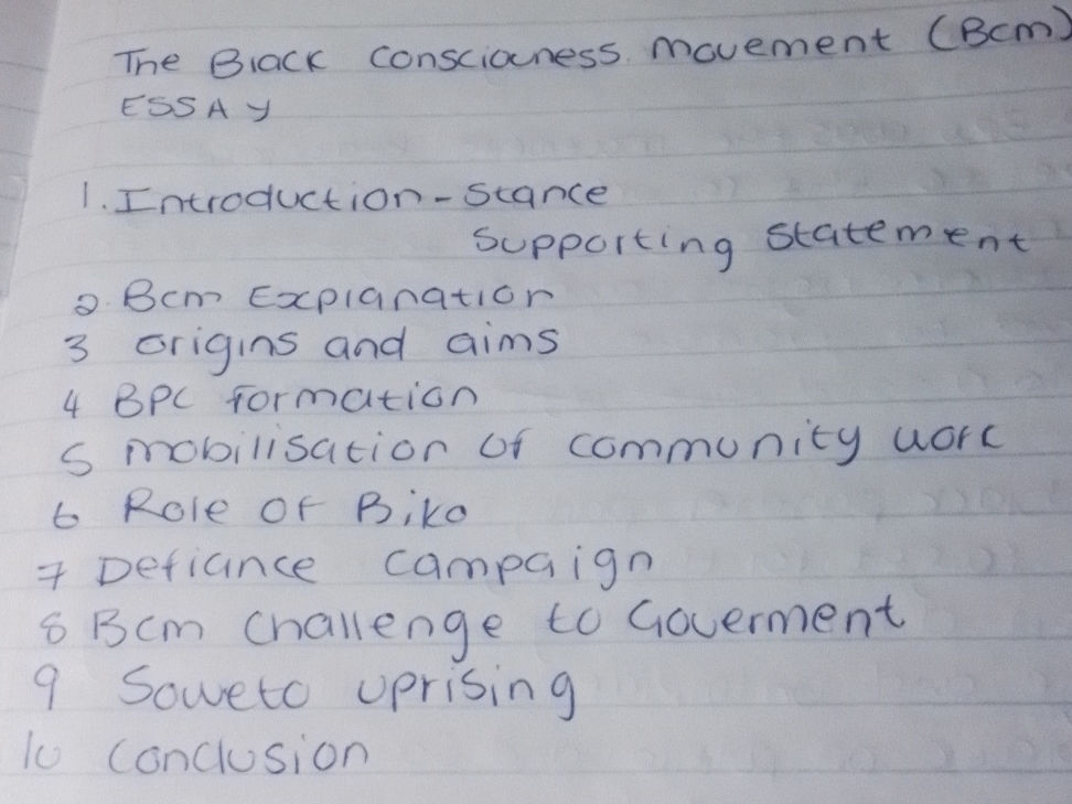 The Black Consciousness Movement (Bcm) ESSAY