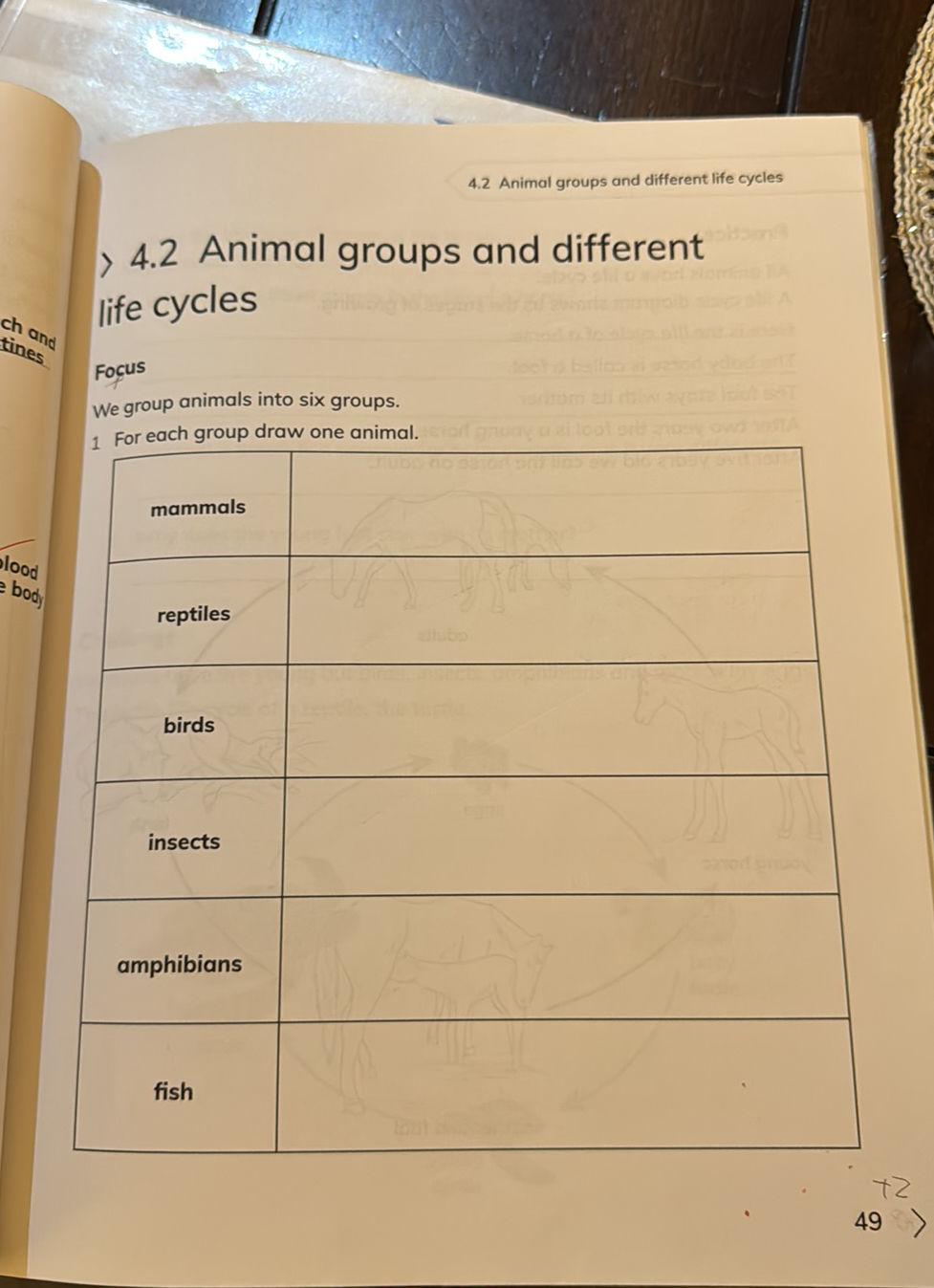 We group animals into six groups. 1 For | StudyX