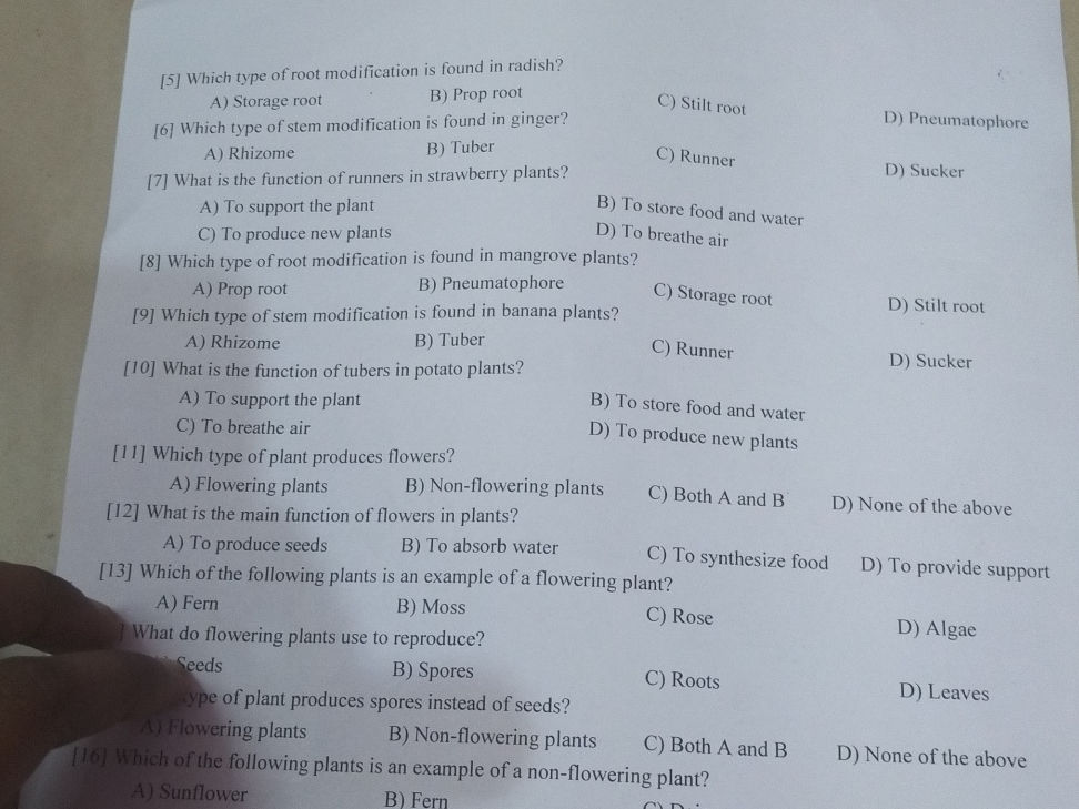 [5] Which type of root modification is found | StudyX