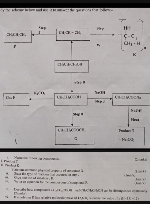 Study the scheme below and use it to answer | StudyX