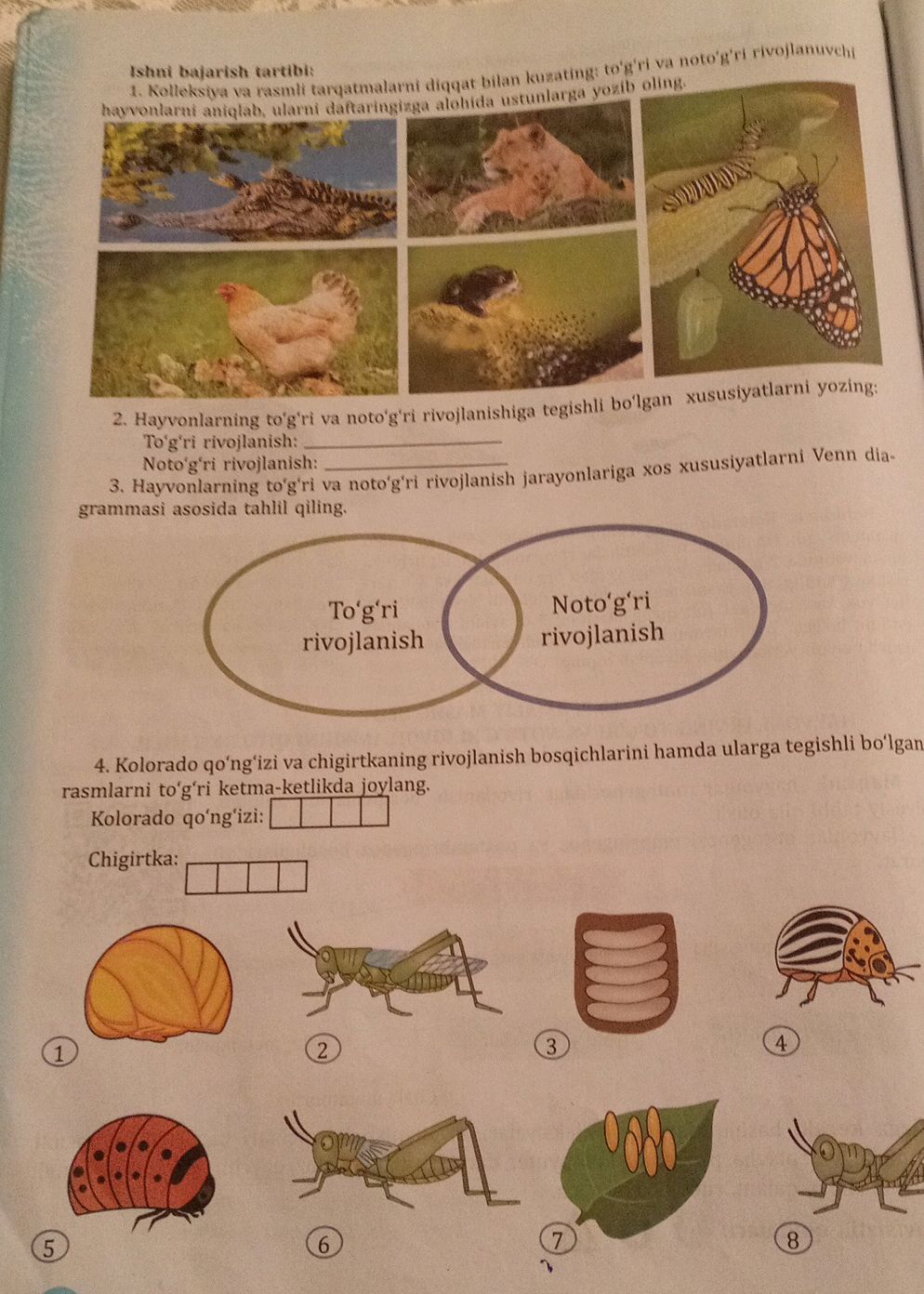 1. Kolleksiya va rasmli tarqatmalarni | StudyX