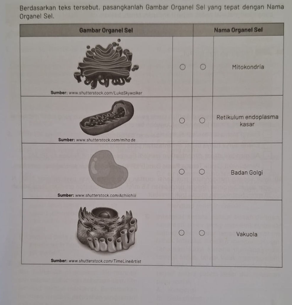 Berdasarkan teks tersebut, pasangkanlah | StudyX