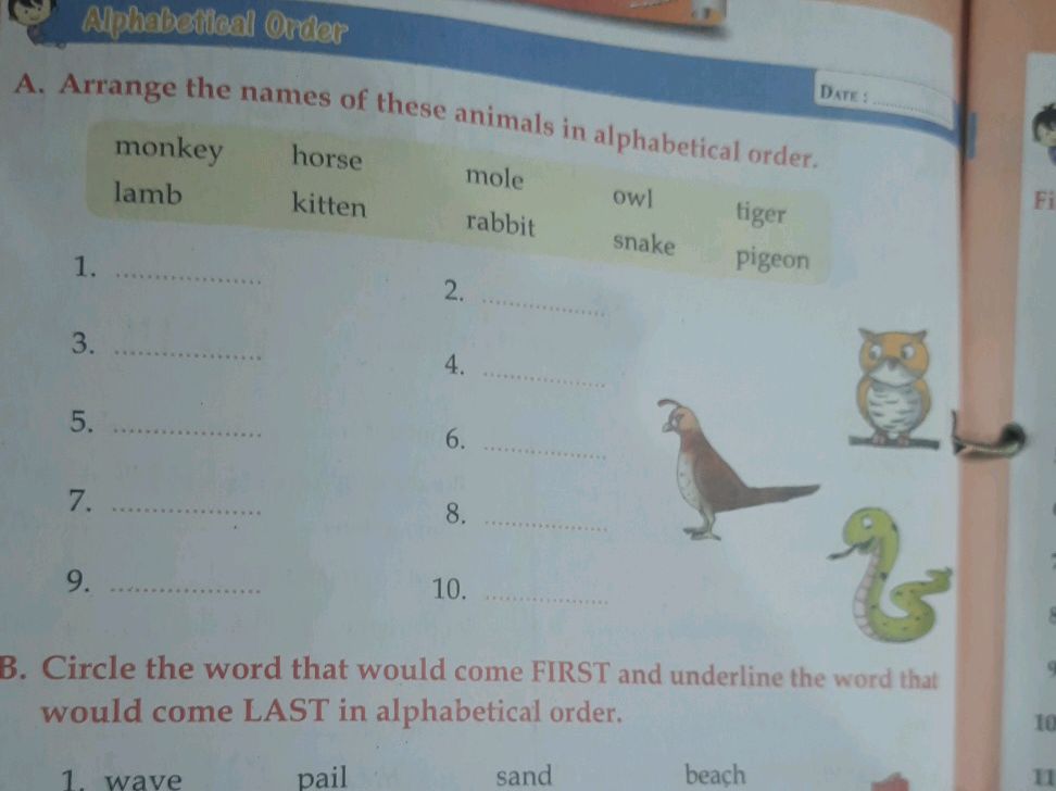 A. Arrange the names of these animals in | StudyX