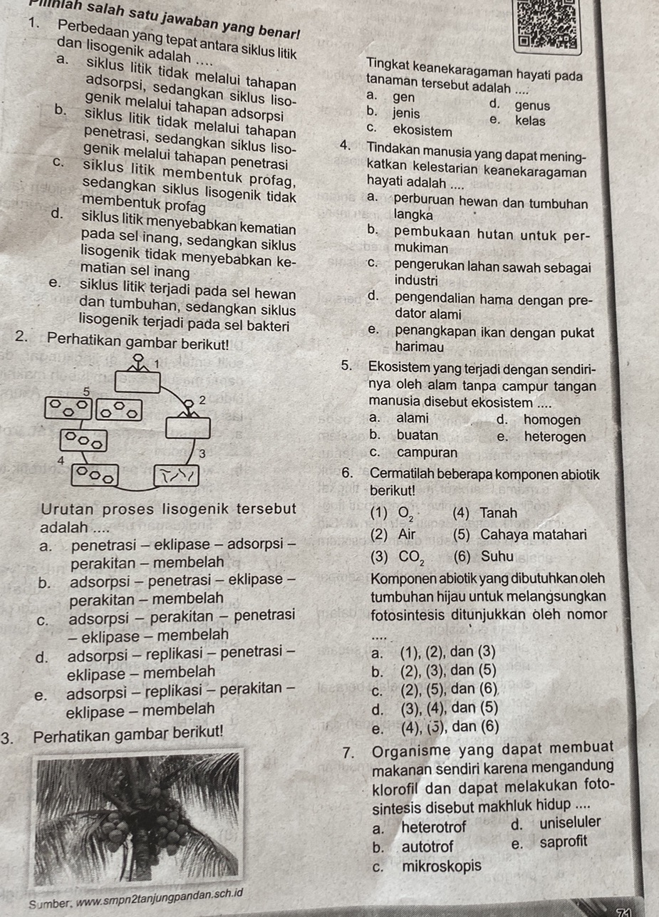 1. Perbedaan yang tepat antara siklus litik | StudyX