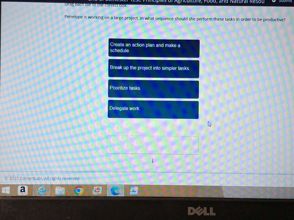 Penelope is working on a large project. In | StudyX
