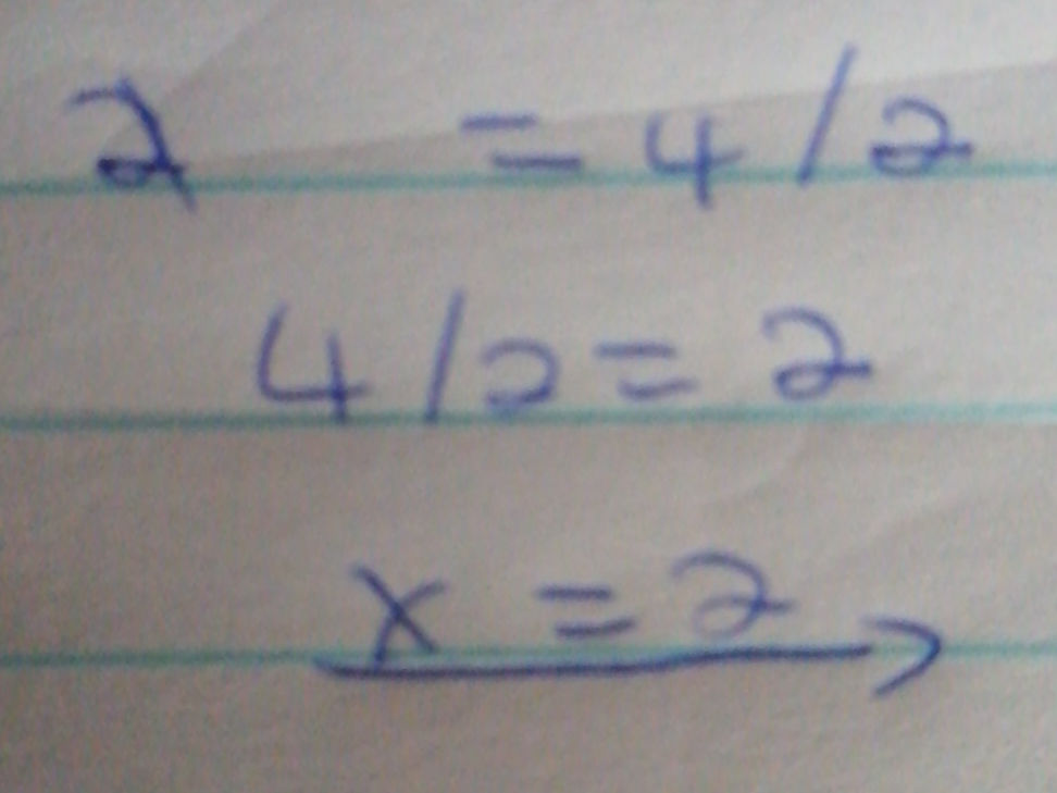 Basic Math: Solving for x in simple equation | StudyX