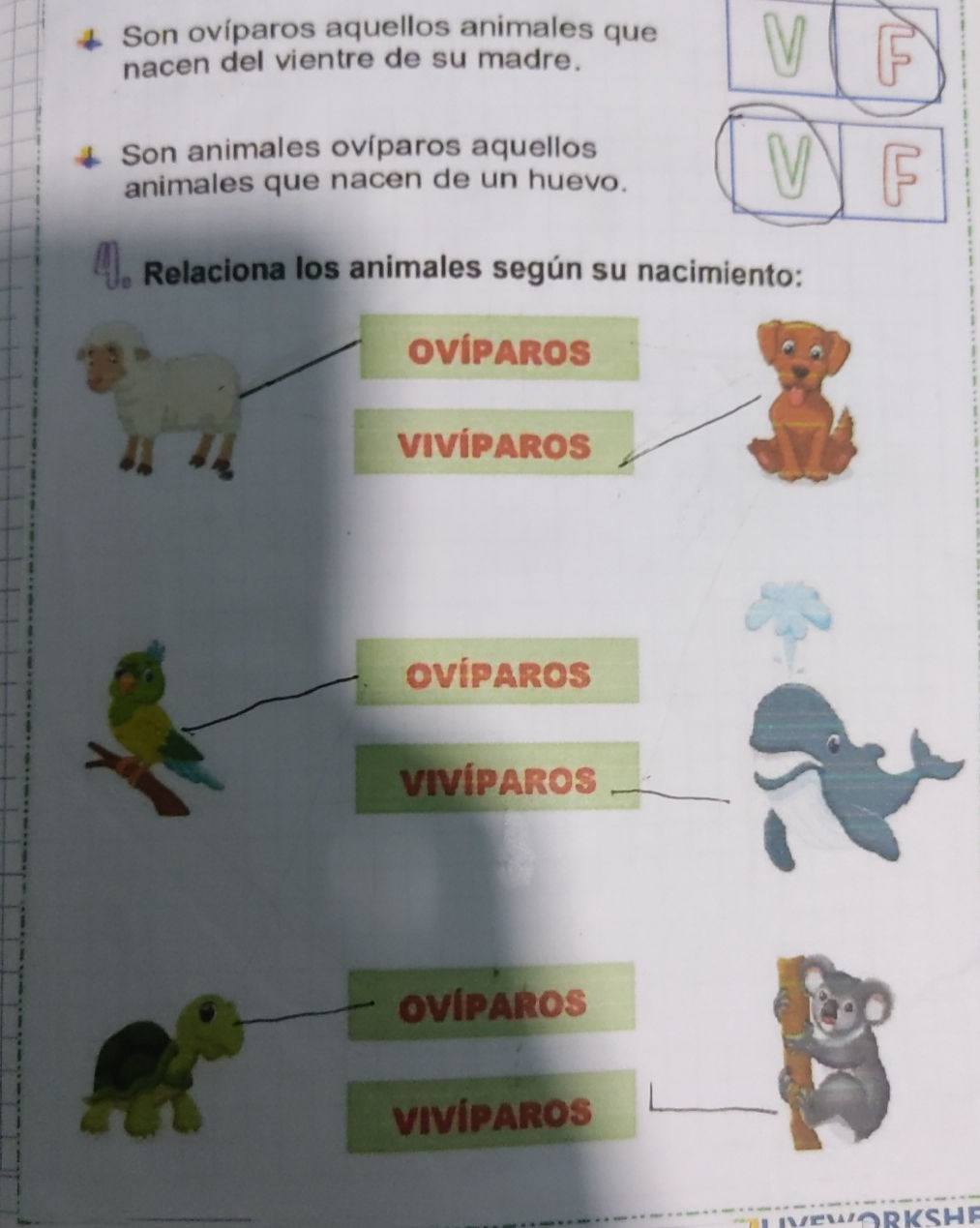 Son ovíparos aquellos animales que nacen del | StudyX