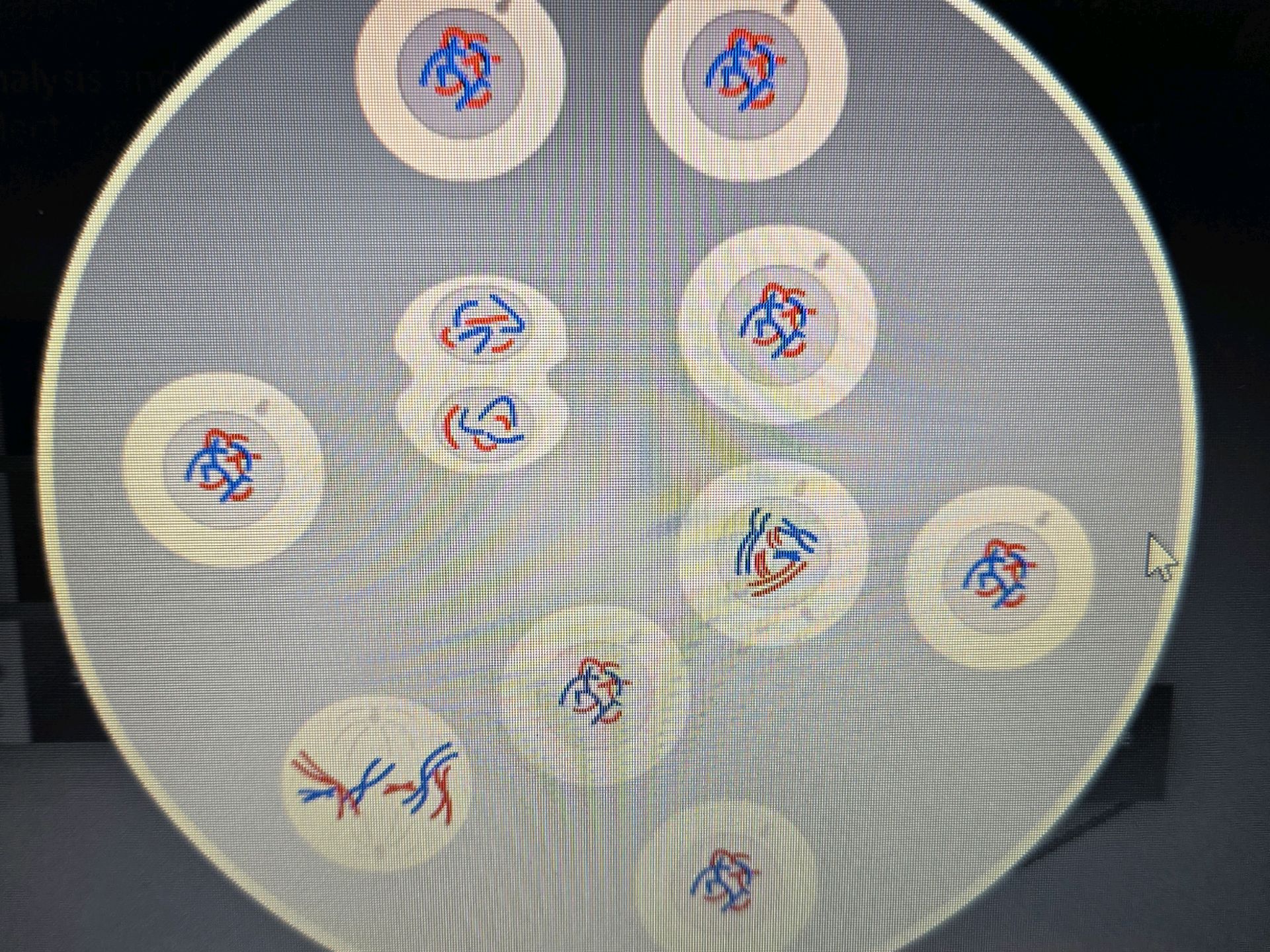 The image shows a series of cells undergoing | StudyX