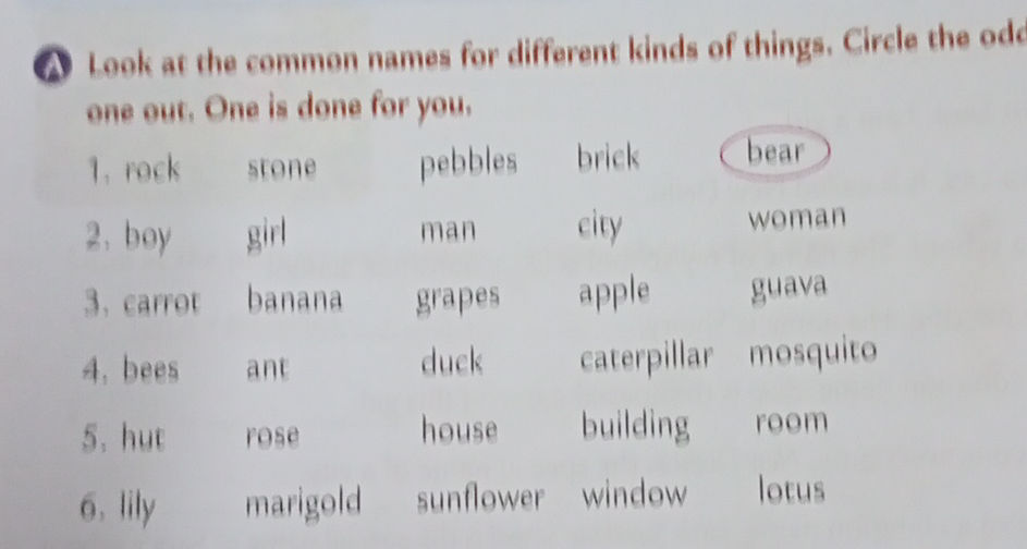 Look at the common names for different kinds | StudyX