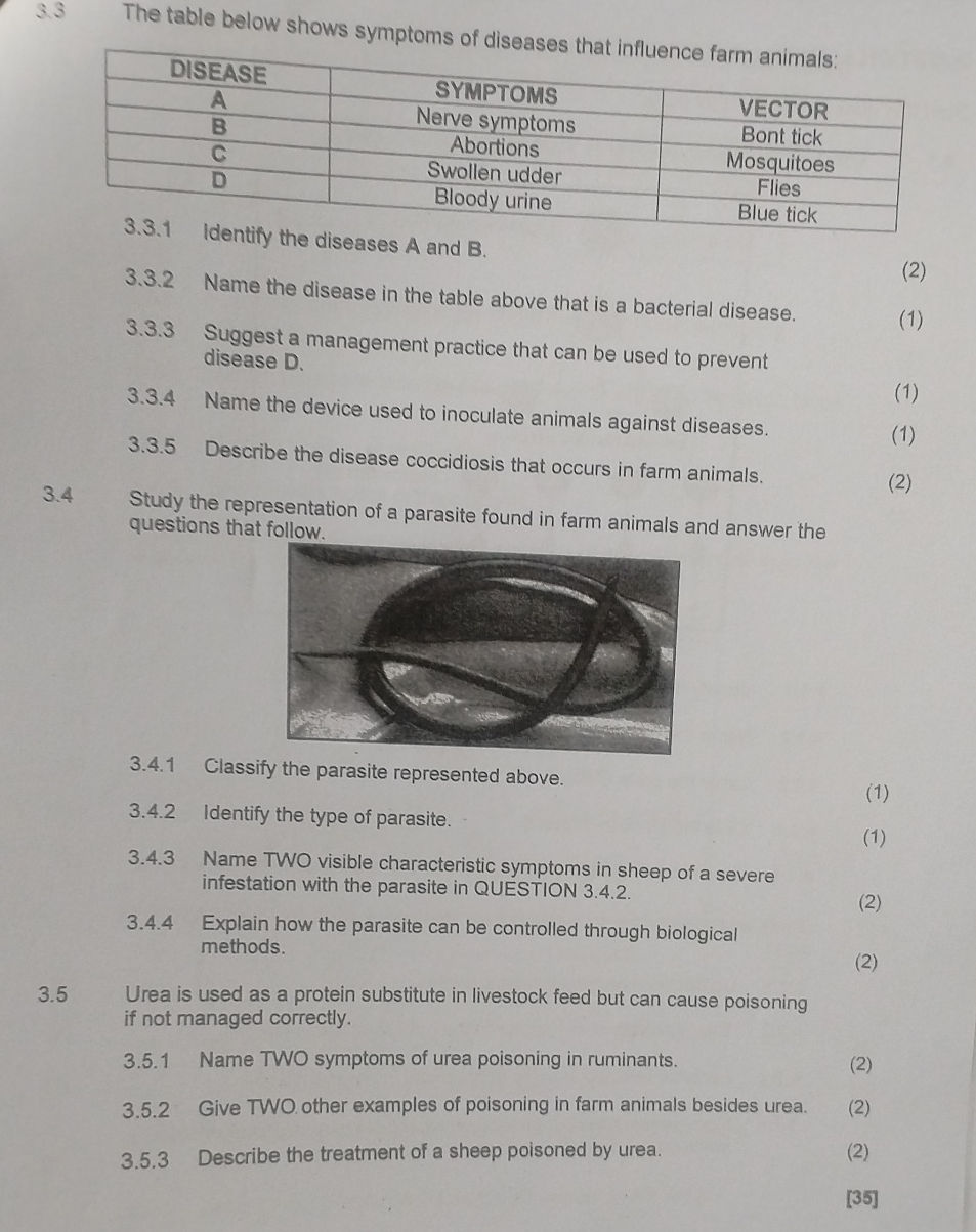 The table below shows symptoms of diseases | StudyX