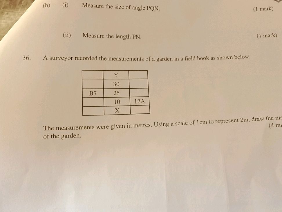 (b) (i) Measure the size of angle PQN. (ii) | StudyX
