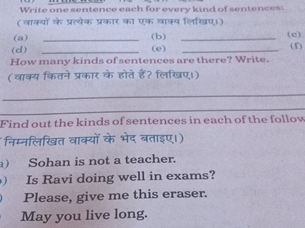 Write one sentence each for every kind of | StudyX