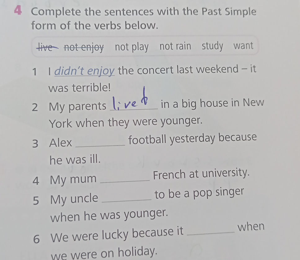 Complete the sentences with the Past Simple | StudyX