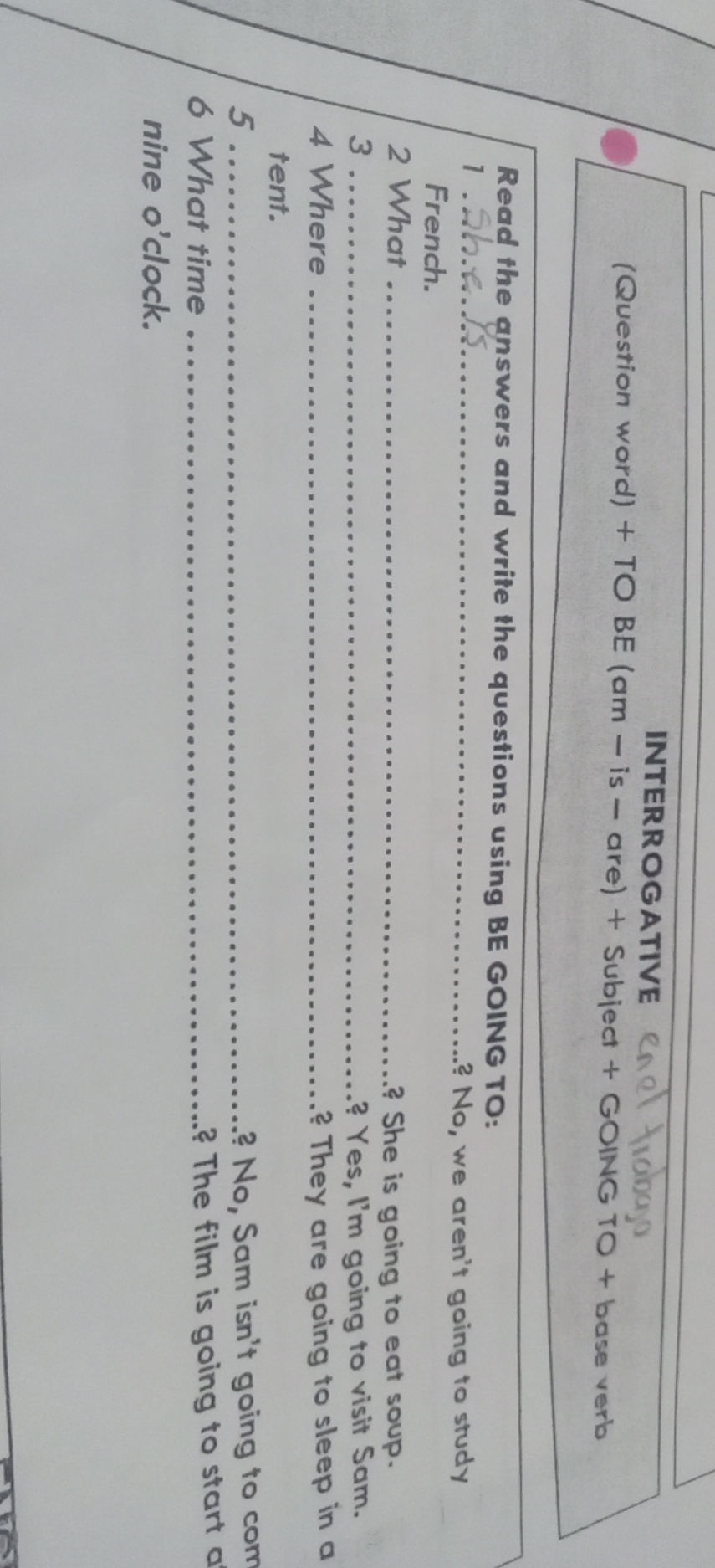 Read the answers and write the questions | StudyX