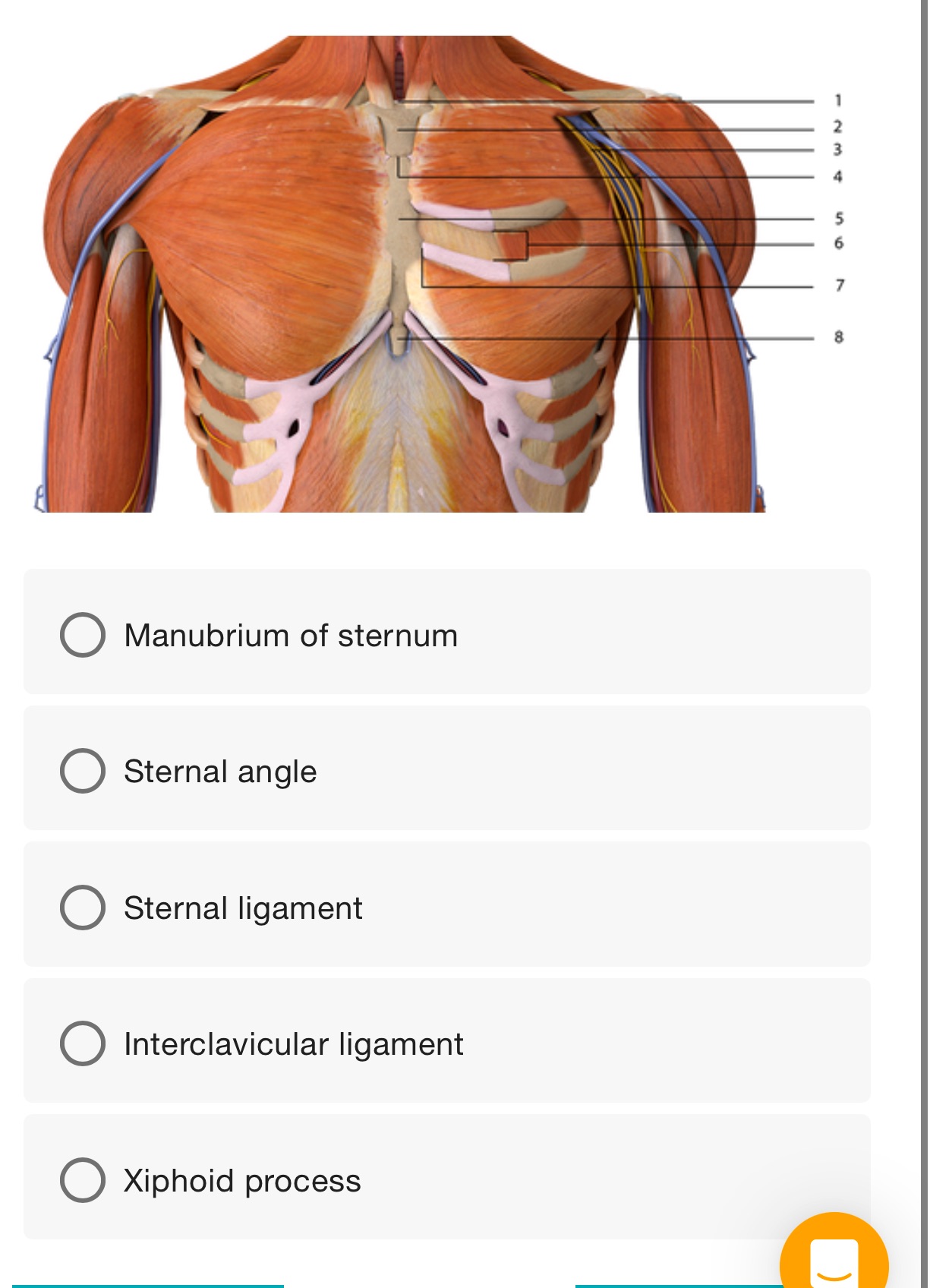 Manubrium of sternum Sternal angle Sternal | StudyX