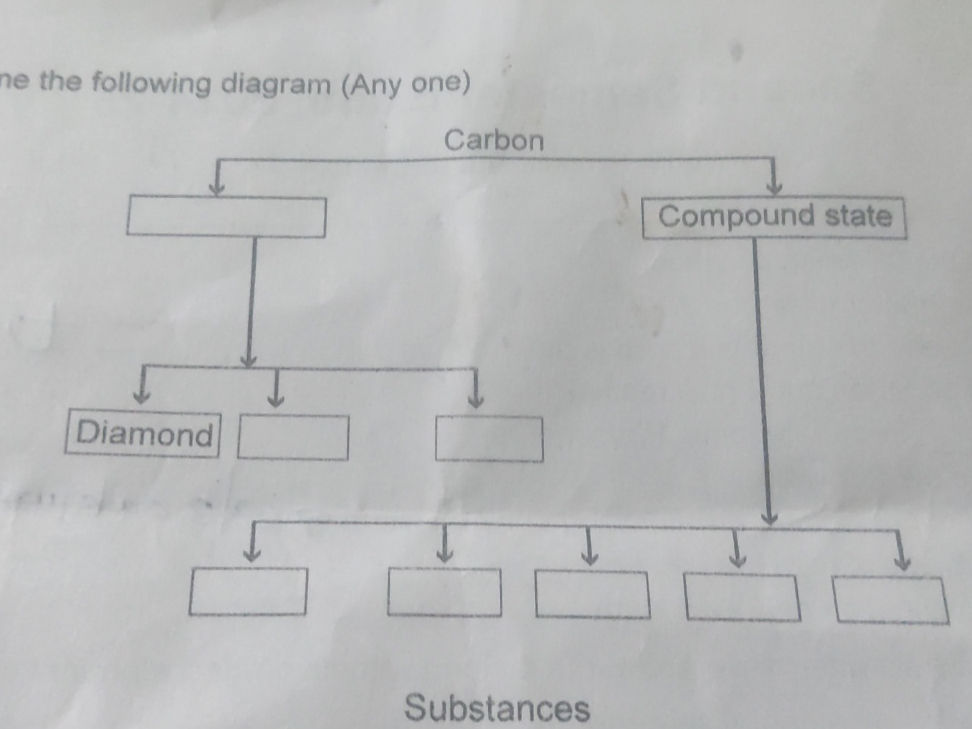 Fill in the following diagram (Any one) | StudyX
