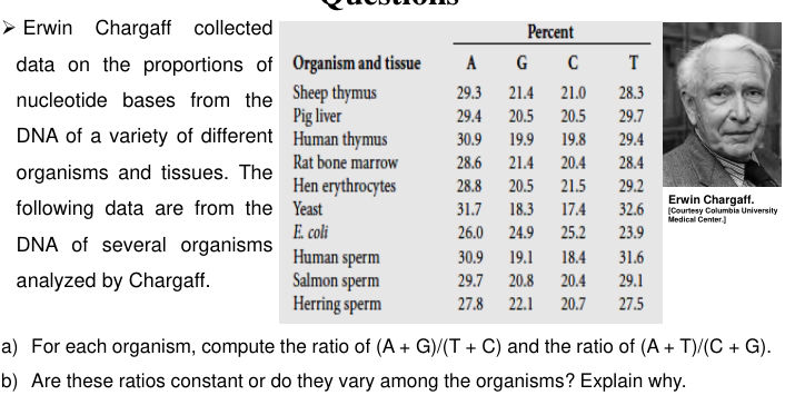 Erwin Chargaff collected data on the | StudyX