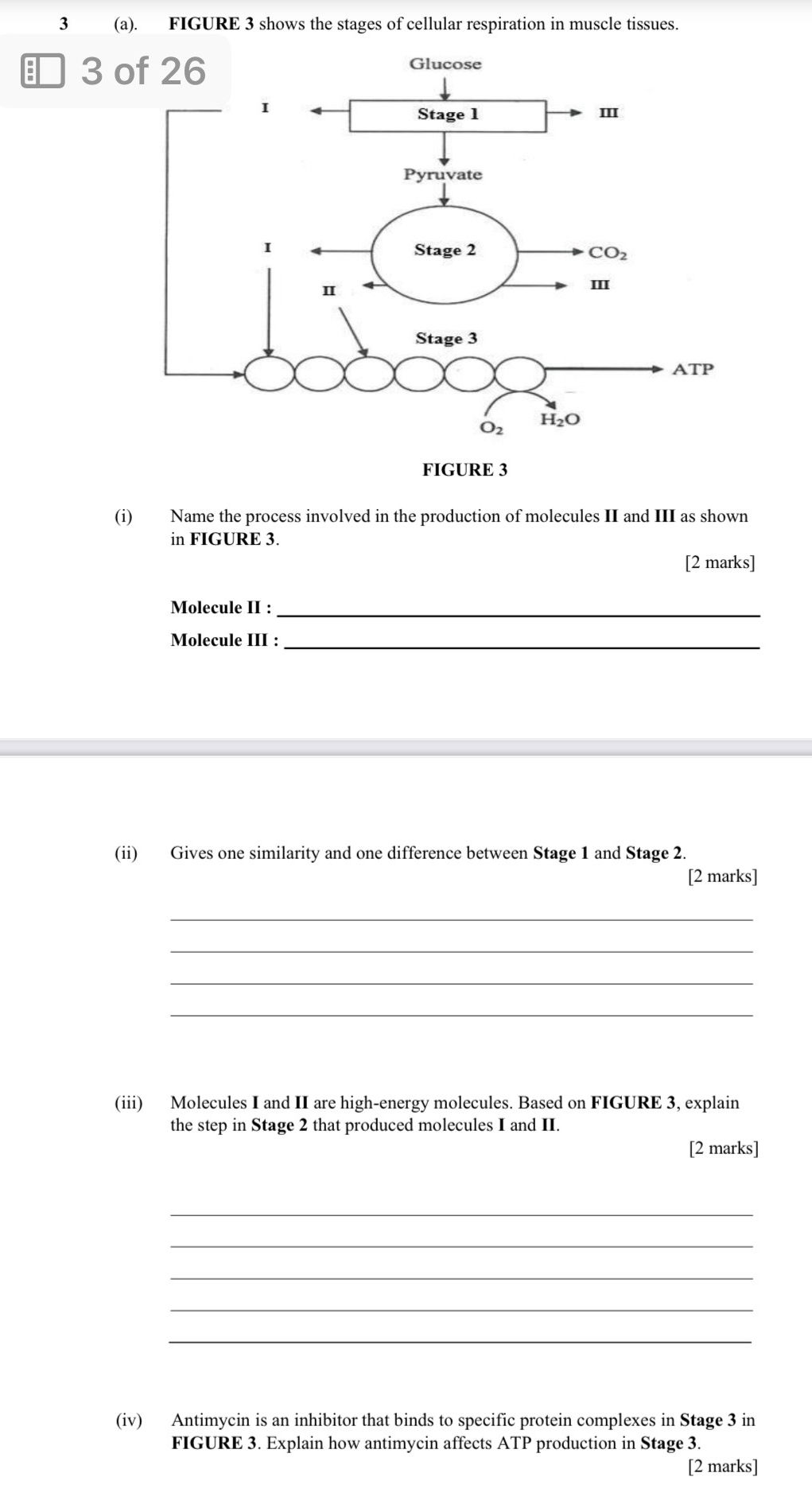 (i) Name the process involved in the | StudyX