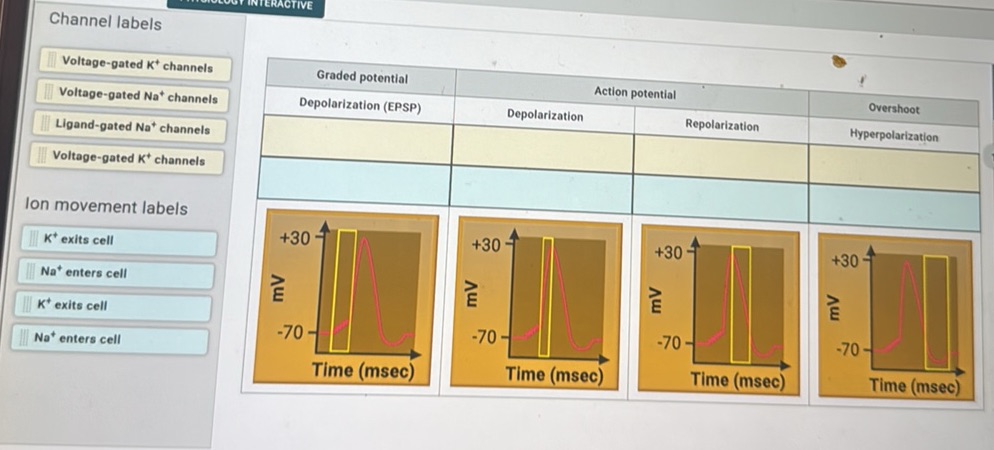 The image presents a table with the | StudyX