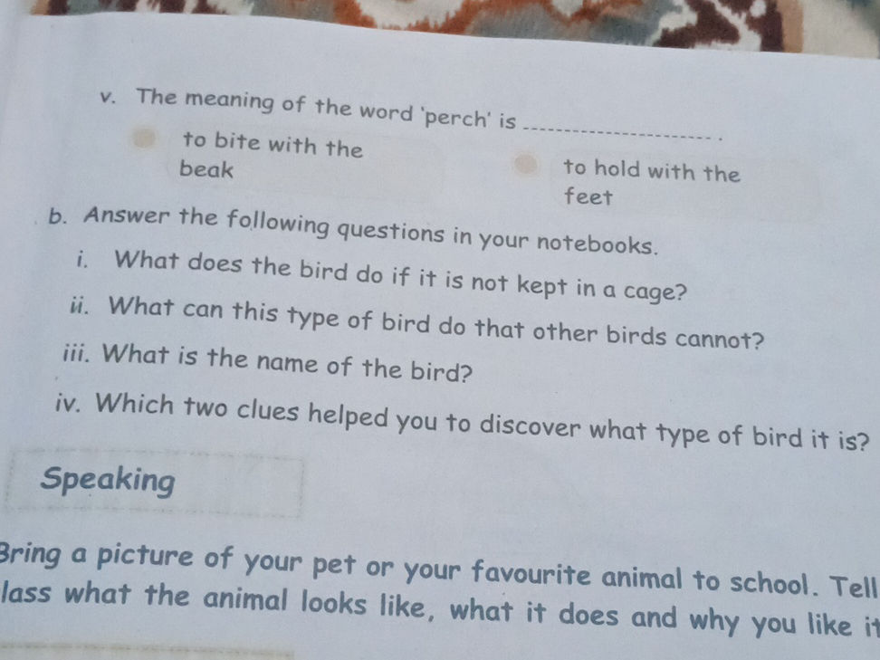 v. The meaning of the word 'perch' is to | StudyX