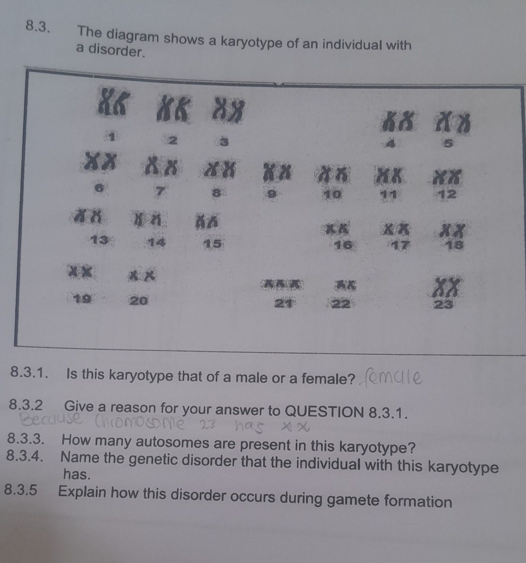 8.3. The diagram shows a karyotype of an | StudyX