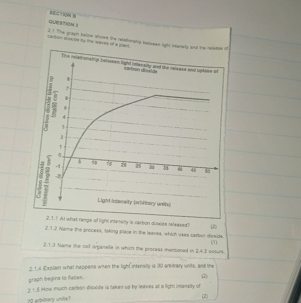 2. 1 The graph below shows the relationship | StudyX