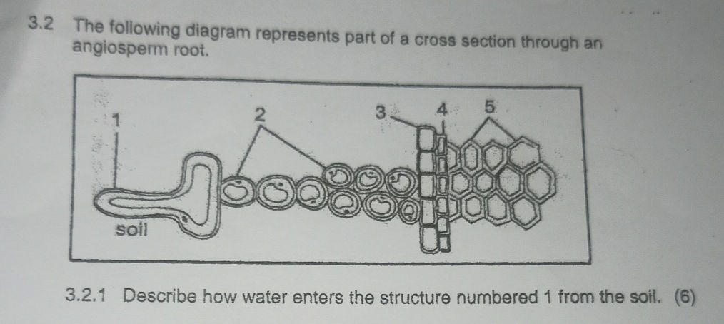 3.2 The following diagram represents part of | StudyX