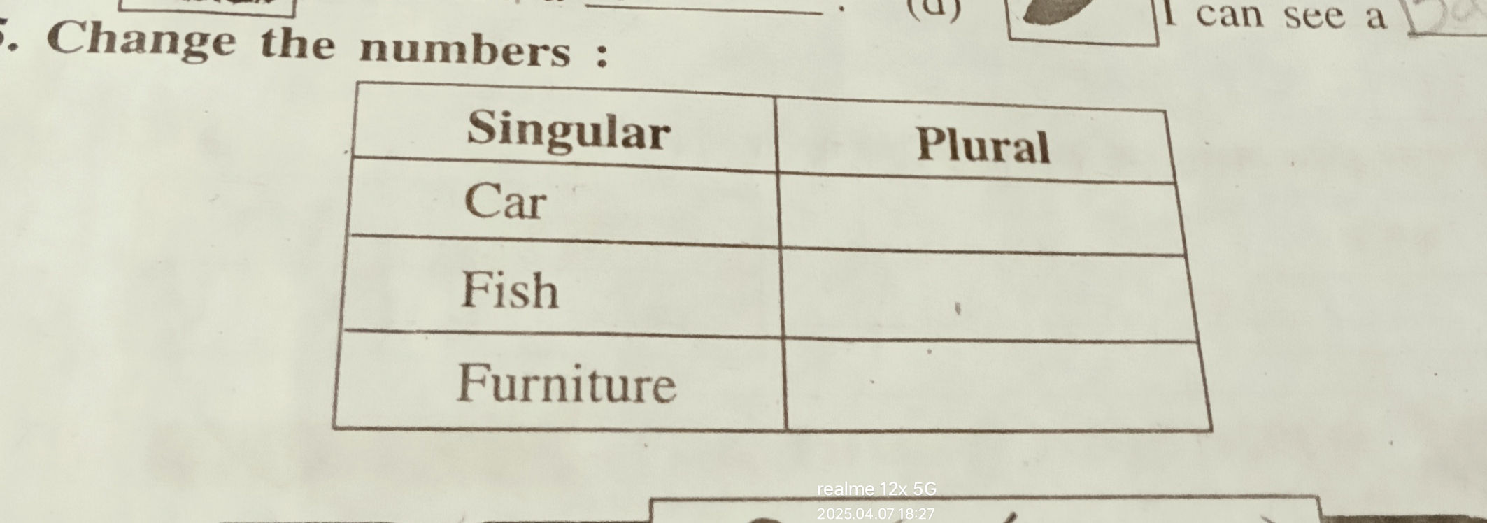 5. Change the numbers : | Singular | Plural | StudyX
