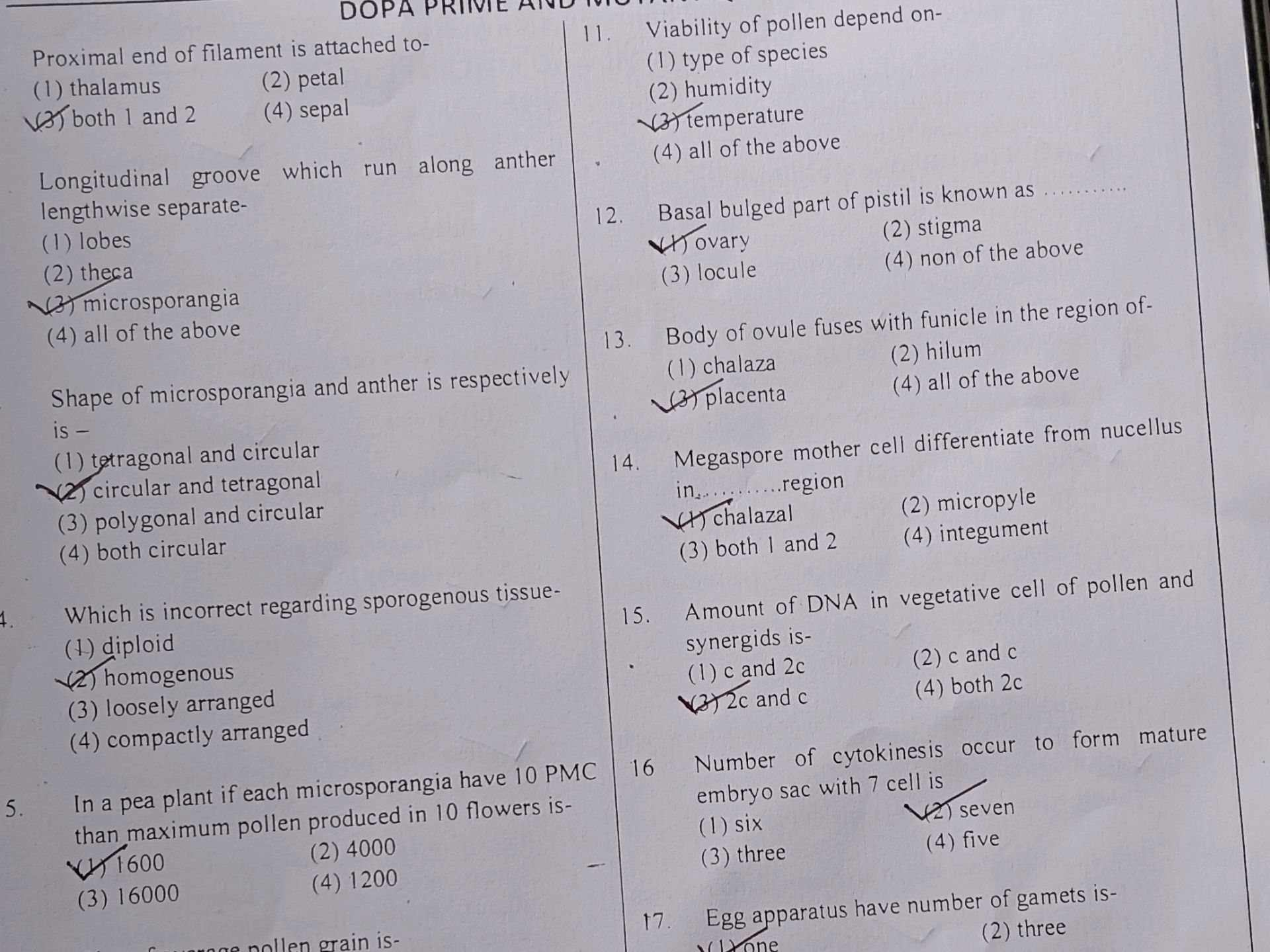 1. Proximal end of filament is attached to- | StudyX