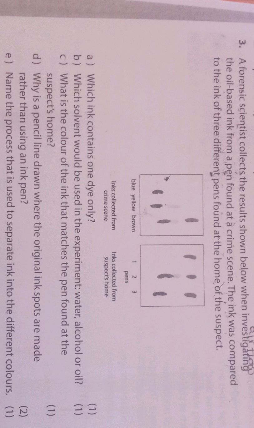 3. A forensic scientist collects the results | StudyX
