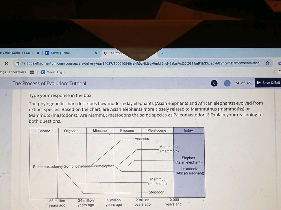 The phylogenetic chart describes how | StudyX