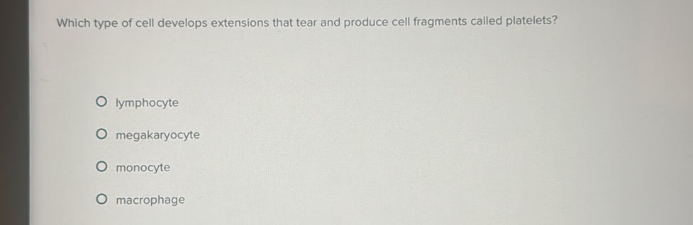 Which type of cell develops extensions that | StudyX