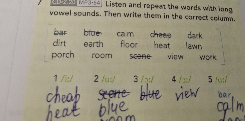 Listen and repeat the words with long vowel | StudyX