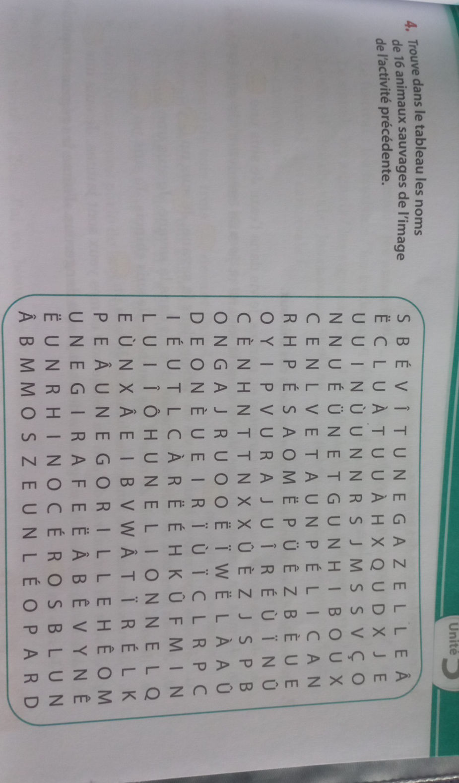 4. Trouve dans le tableau les noms de 16 | StudyX