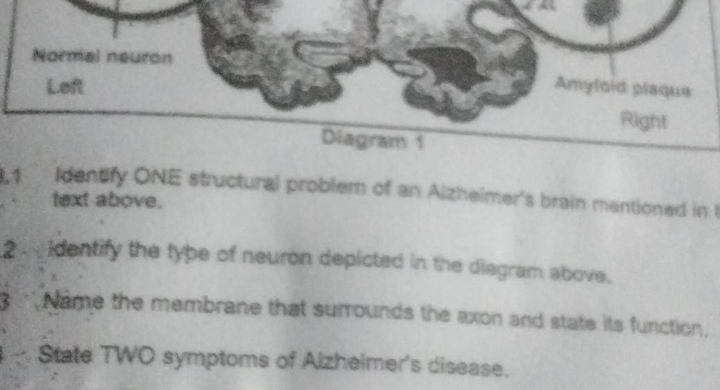 3.1 Identify ONE structural problem of an | StudyX