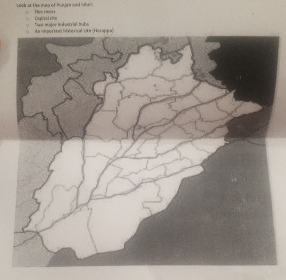 Look at the map of Punjab and label: * | StudyX