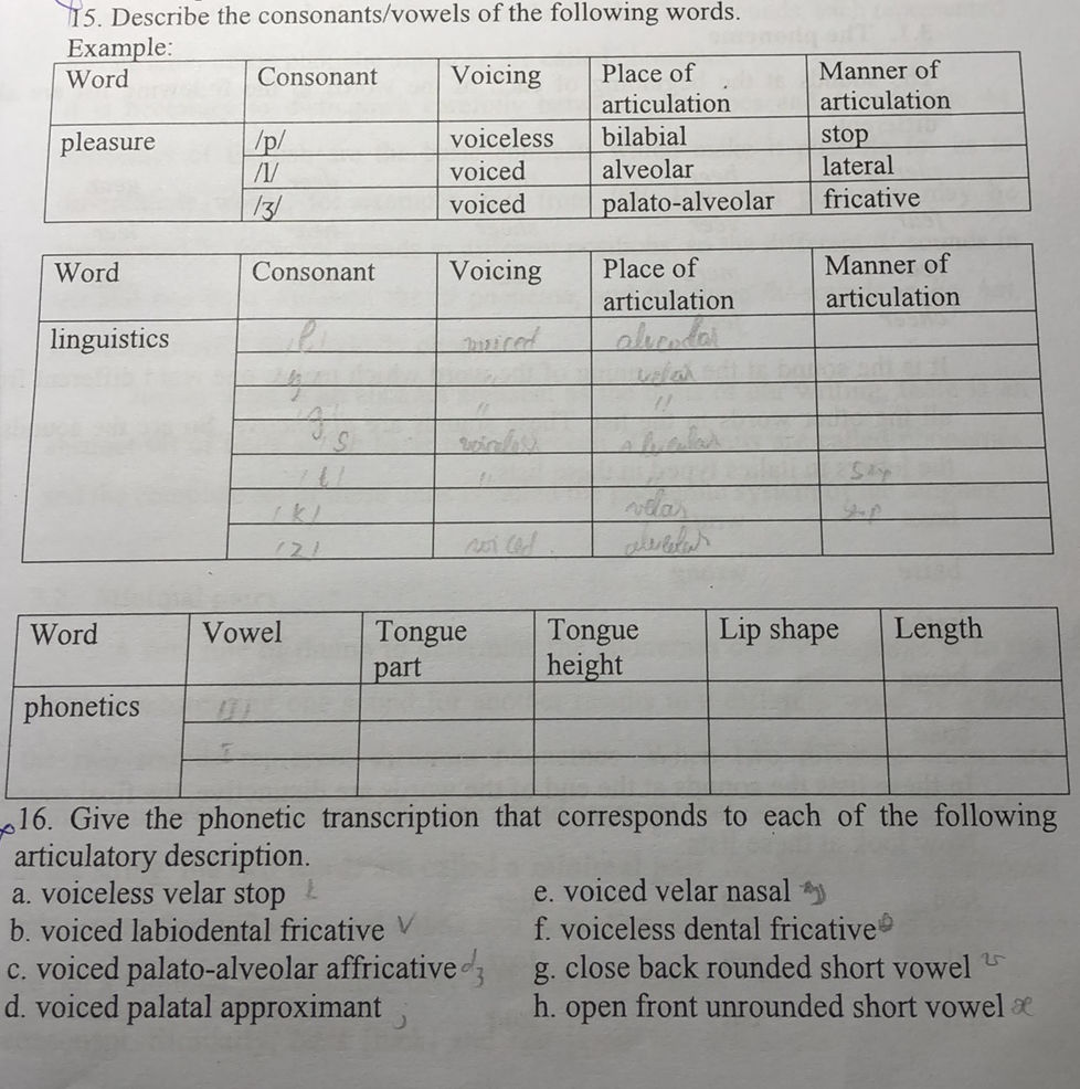 15. Describe the consonants/vowels of the | StudyX
