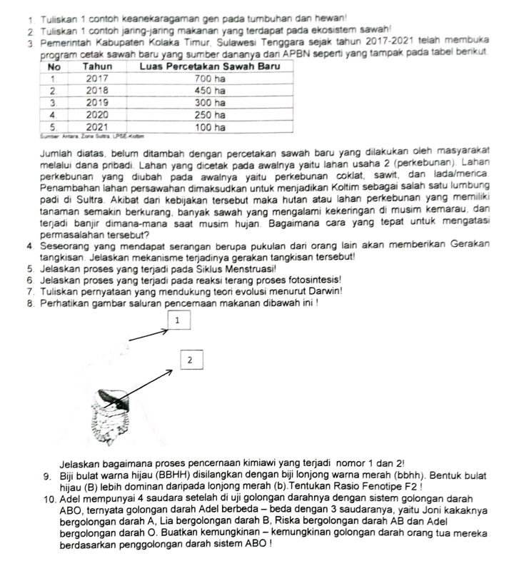 1. Tuliskan 1 contoh keanekaragaman gen pada | StudyX
